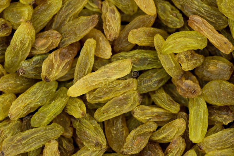 Green raisins stock photo. Image of vegetarian, grape - 230776328