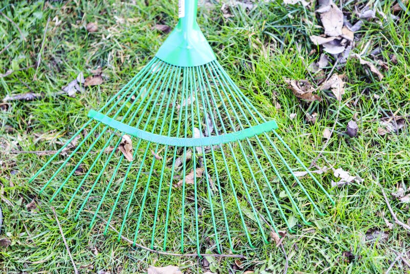 Green rake on the grass stock photo. Image of foliage - 69674884