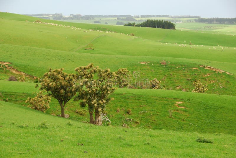 The green ranch stock image. Image of meadow, layer, green - 15633635