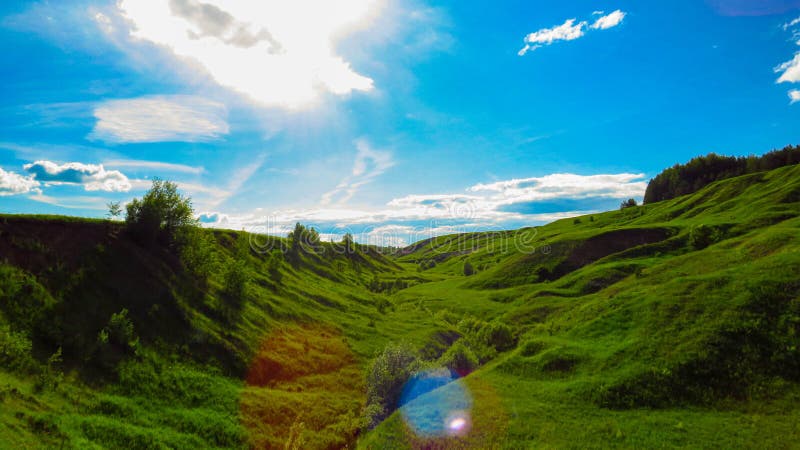 Green Ravines and Plains with Small Trees Stock Image - Image of plant ...