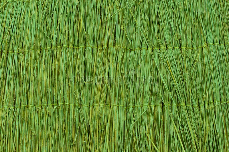 Reed texture stock photo. Image of background, texture - 32931606
