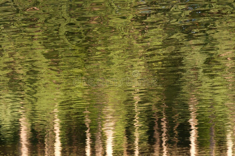 Green reflection stock photo. Image of ripple, surface - 15925638