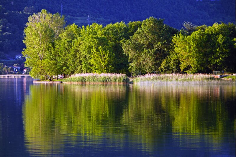 Green Reflections stock image. Image of natural, spring - 93178181