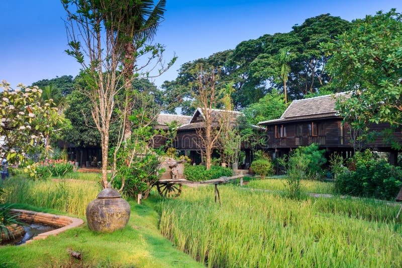 Green Rice Field in the Villa,Thailand Stock Image - Image of village ...