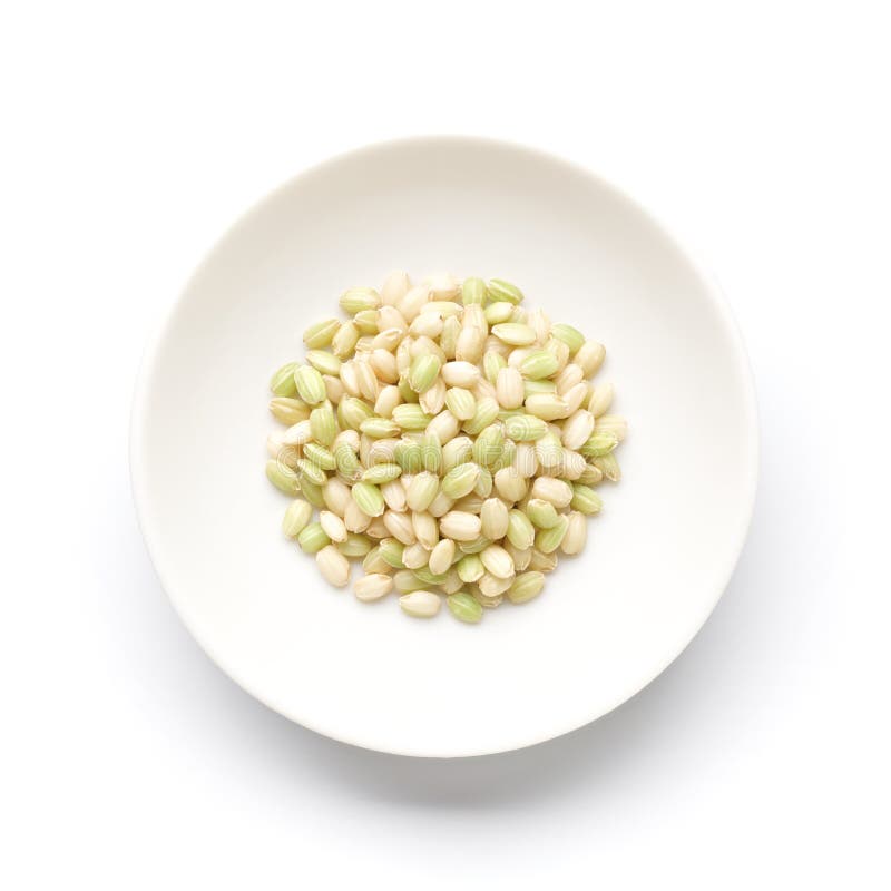 Green rice stock image. Image of japan, isolated, japonica - 49506525