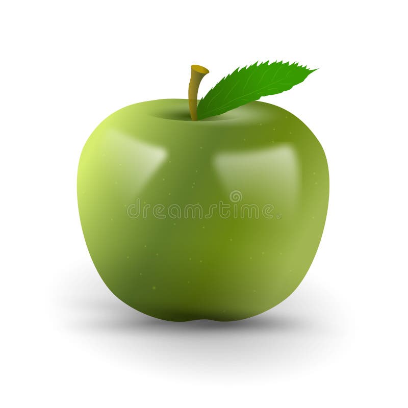 A Green Ripe Apple Vector on Isolated White, with Green Leaf in Natural ...