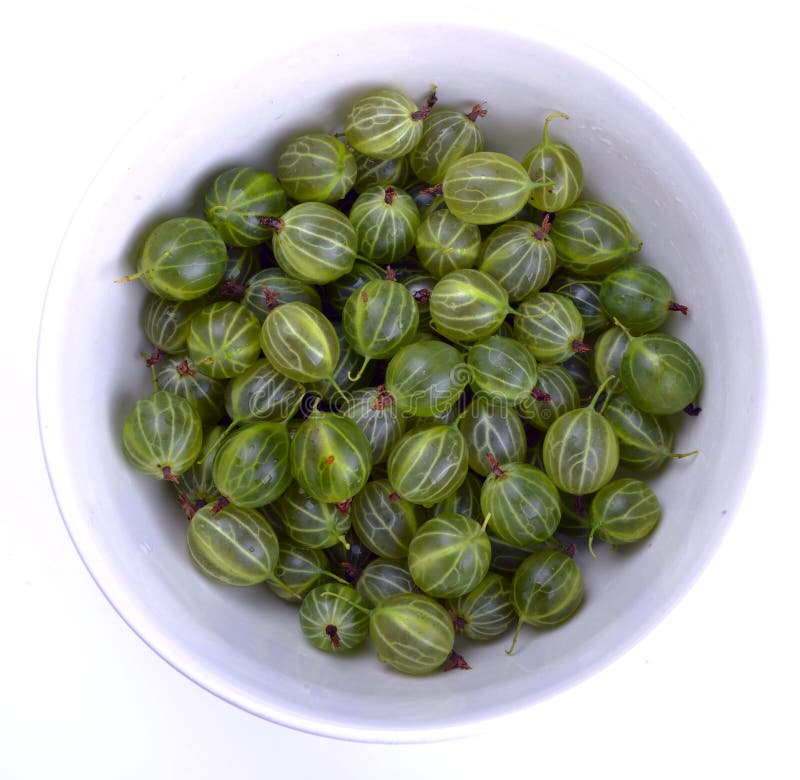 Green ripe gooseberries stock image. Image of grossularia - 37616529