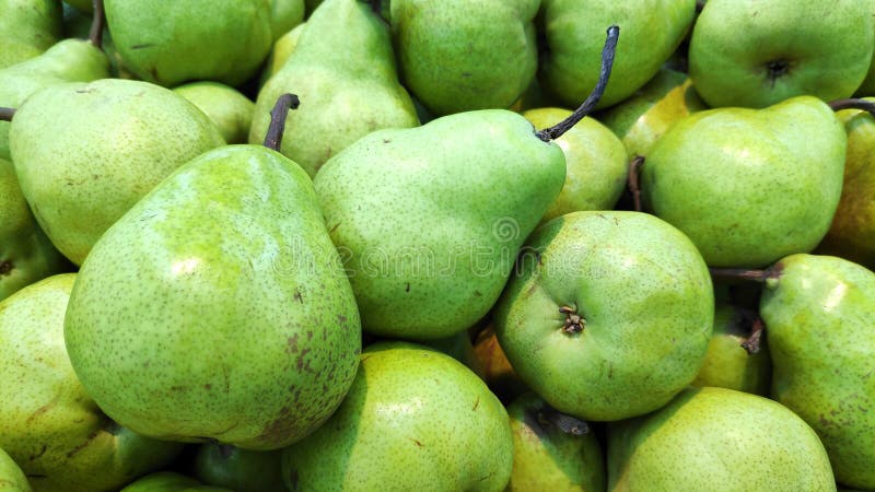 Green ripe pears stock photo. Image of healthy, snack - 163168750