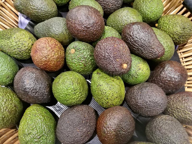 Avocado stock photo. Image of ripped, avocado, fruit - 126127884