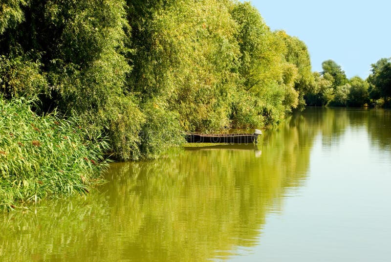 Green river stock photo. Image of river, blue, clear - 11318950