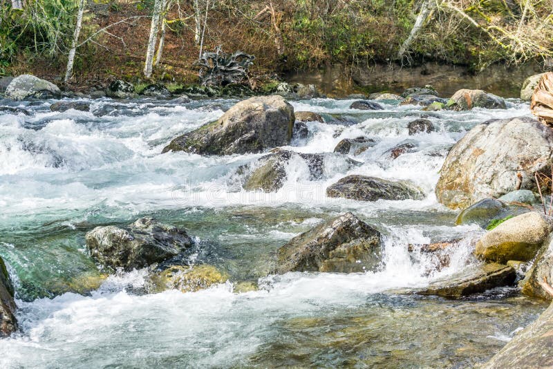 Green River Rapids Landscape 9 Stock Image - Image of trees, rocks ...