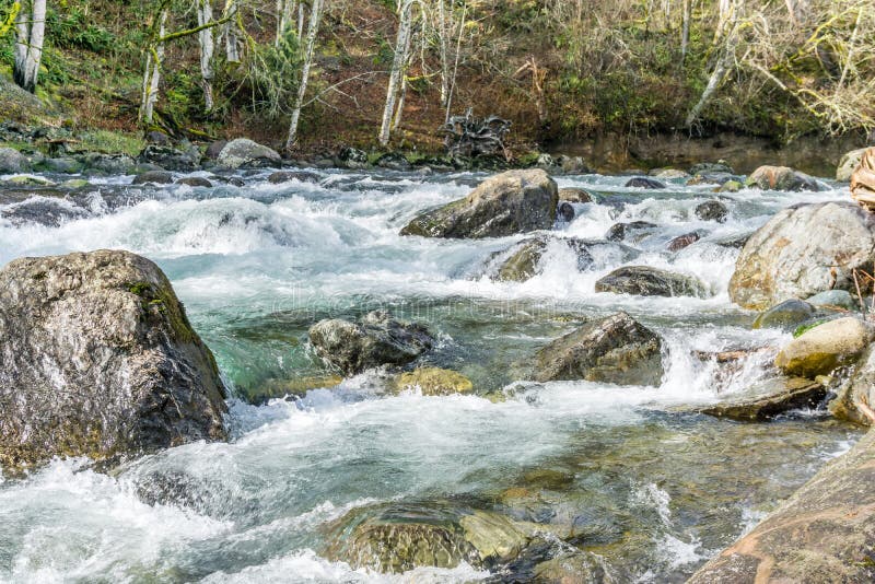 Green River Rapids Landscape 10 Stock Image - Image of nature, green ...