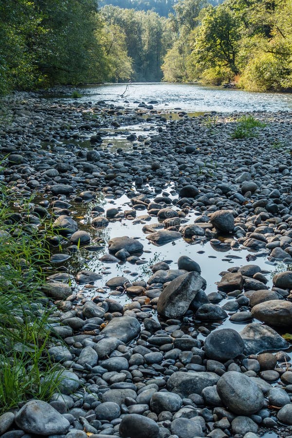 River Rocks Macro Stock Photos - Download 1,887 Royalty Free Photos