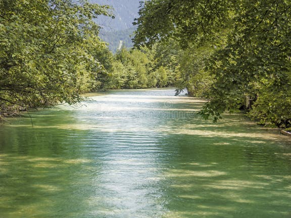 Green River with Trees in Summer Stock Photo - Image of outdoor ...