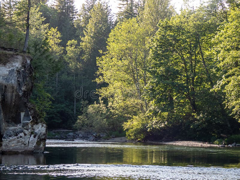 Green River in Washington State Flowing Past Forest and Sandy Shoreline ...
