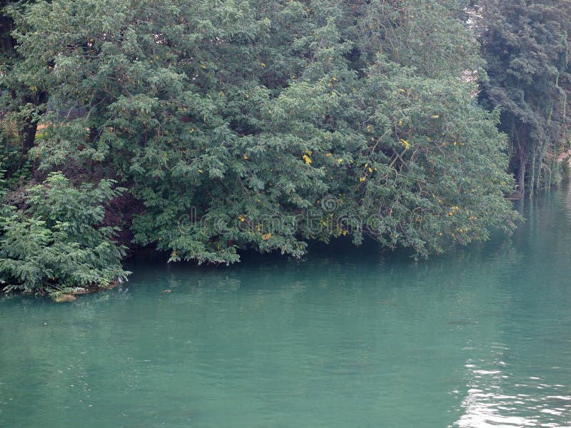 Green River Water and Trees Background Stock Photo - Image of trees ...