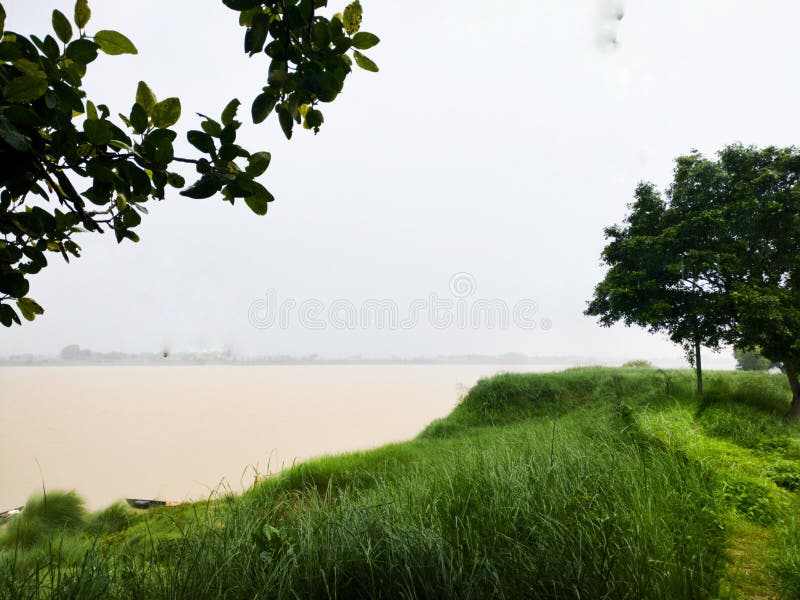 Green Riverside stock photo. Image of greenery, riverside - 124356846