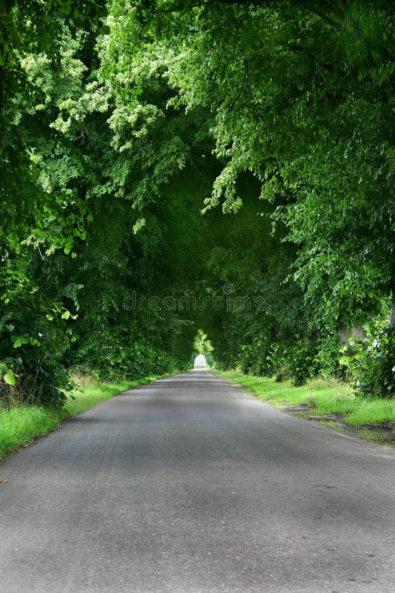 Green road stock image. Image of transportation, corner - 224299