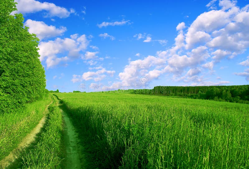 Green road. stock photo. Image of nature, cloud, field - 5491048