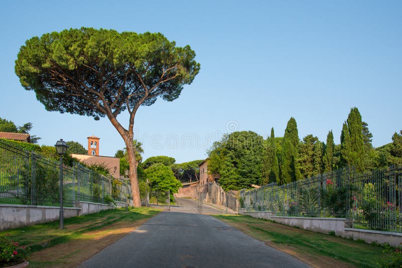 Green Road in Old Historic City in Rome with a Pine Trees Stock Photo ...
