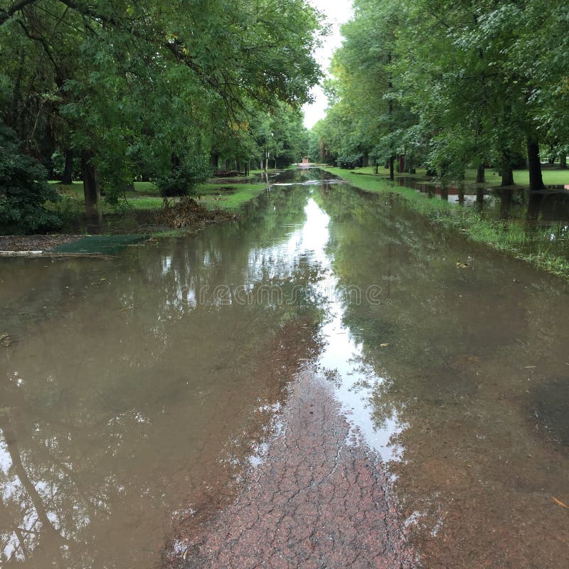Has it stopped raining? stock image. Image of rain, isolated - 2234067