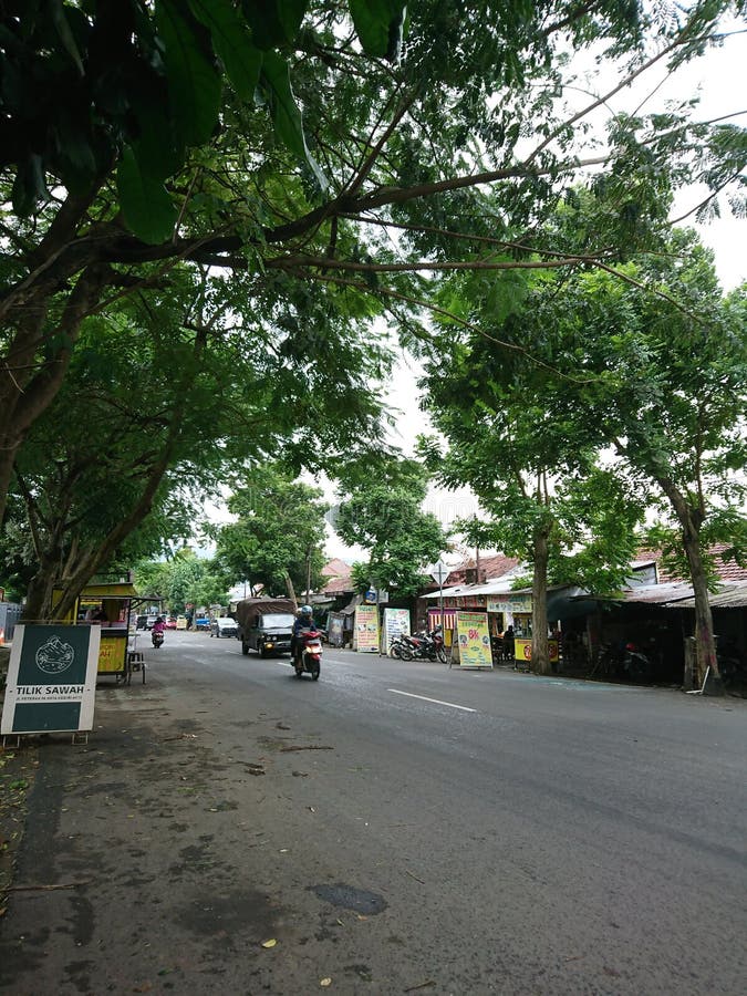 Green Road Street in East Java Editorial Stock Photo - Image of east ...