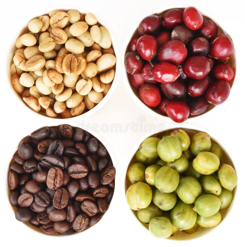 Green and Roasted Coffee Beans Stock Photo - Image of fresh, gourmet ...