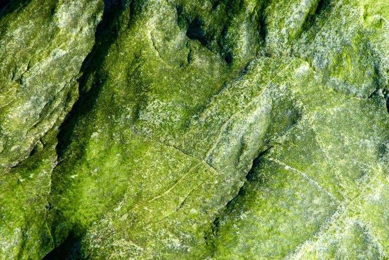 Green Rock I stock image. Image of pattern, backdrop - 29351019