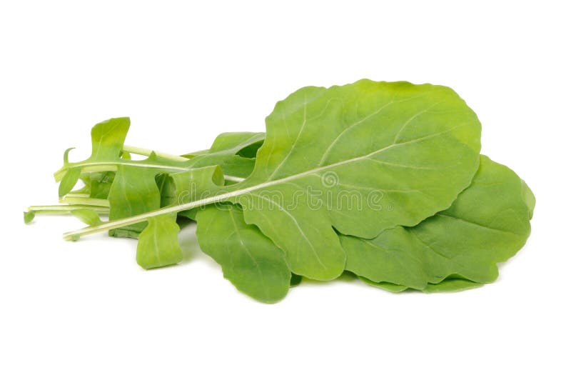 Green Rocket Salad Leaves stock image. Image of herbal - 27744657