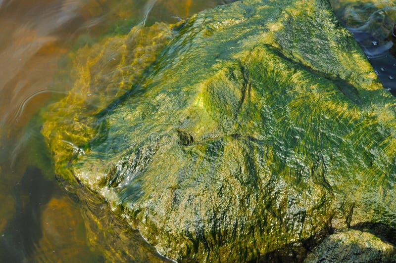 Fuzzy Rocks stock photo. Image of holiday, nature, erie - 26578956