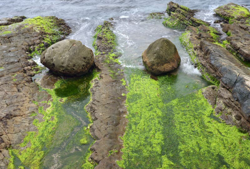 Green rocks in the surf stock photo. Image of rock, outdoors - 54128262