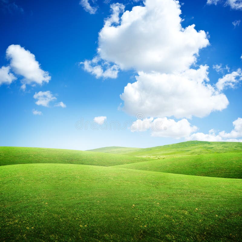 Green Rolling Fields stock image. Image of clear, summer - 40026173