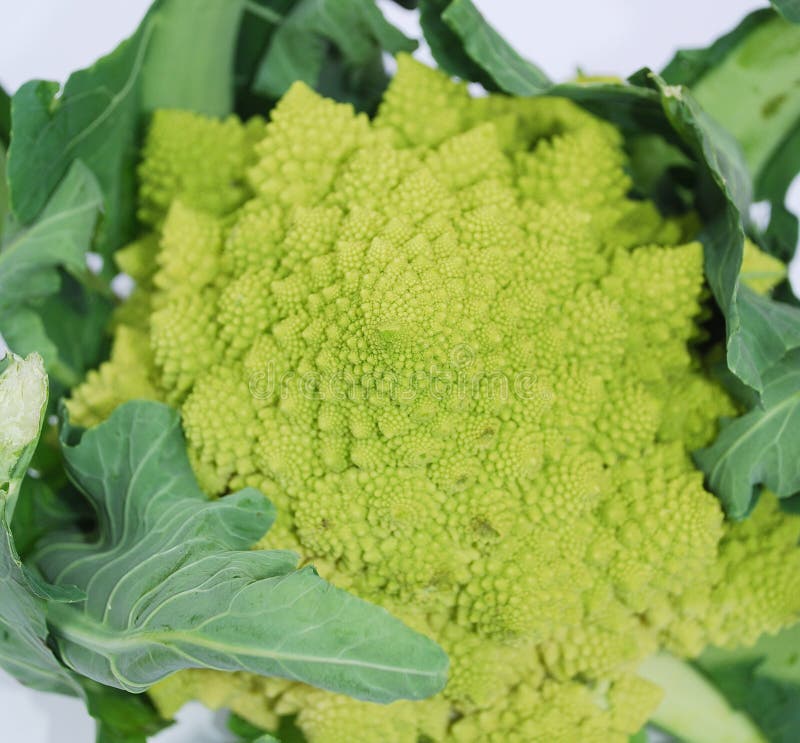 Green Romanesco stock image. Image of pattern, colour - 12710383