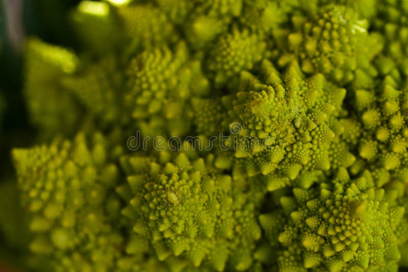 Closeup Details of Green Romanesco Broccoli Stock Image - Image of ...