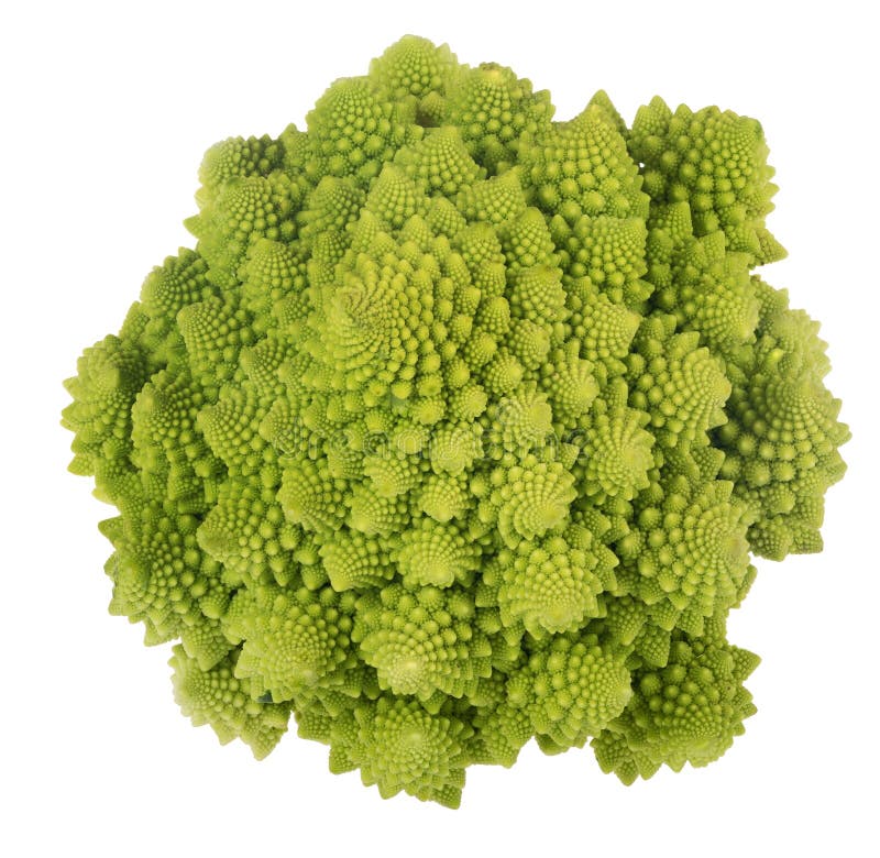 Green Romanesco stock image. Image of pattern, colour - 12710383