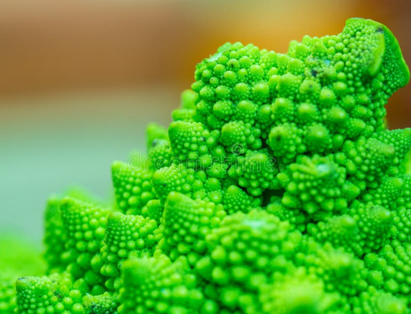 Romanesque Broccoli Has a Geometry Pattern Close To a Fractal Stock ...