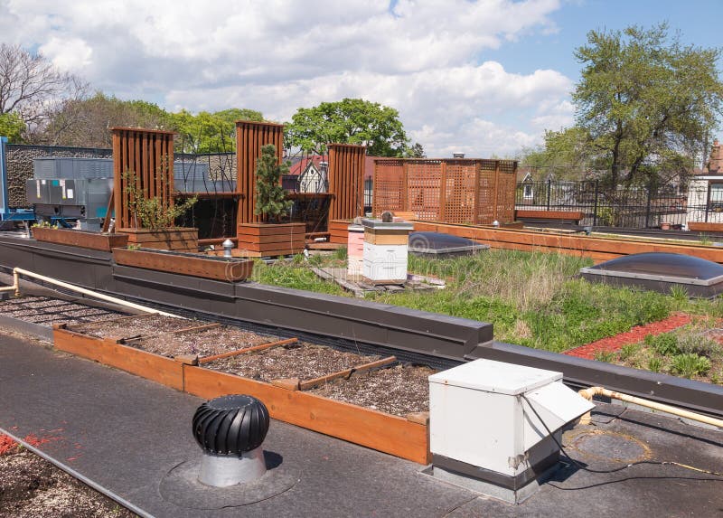 Green Roof in early spring editorial photography. Image of foliage ...