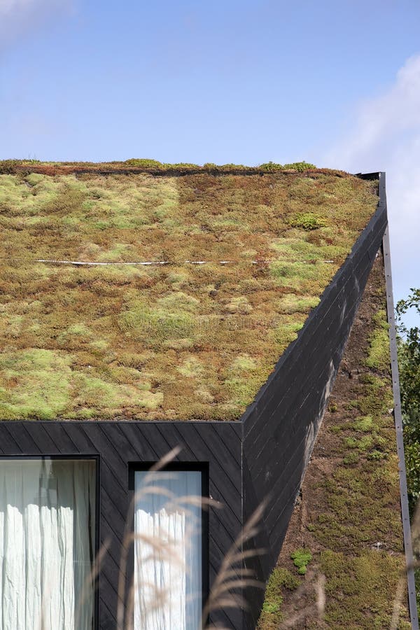 Eco roof 2 stock image. Image of habitat, architecture - 20287699