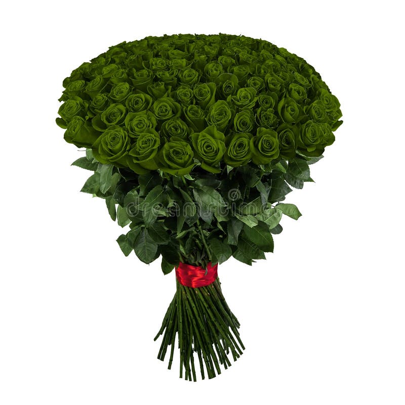 Green Rose. Isolated Large Bouquet of 101 Rose on White Stock Photo ...