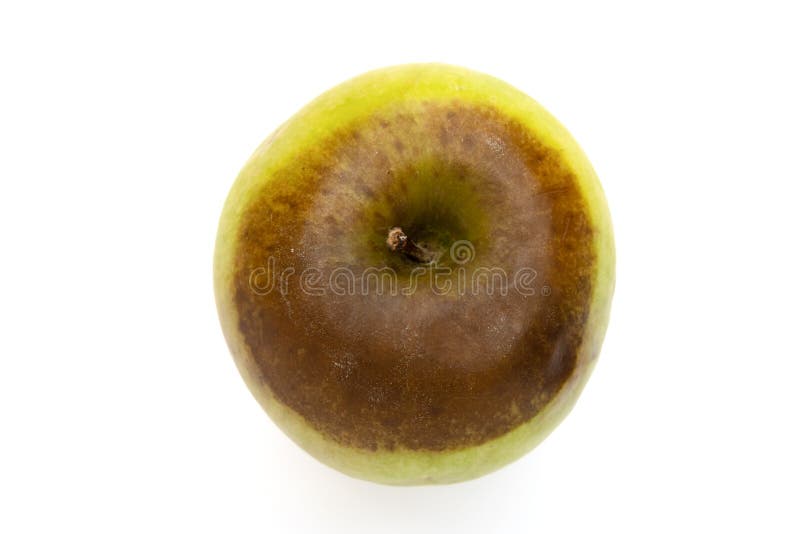 Green Rotten Apple on a White Background Stock Photo - Image of ...