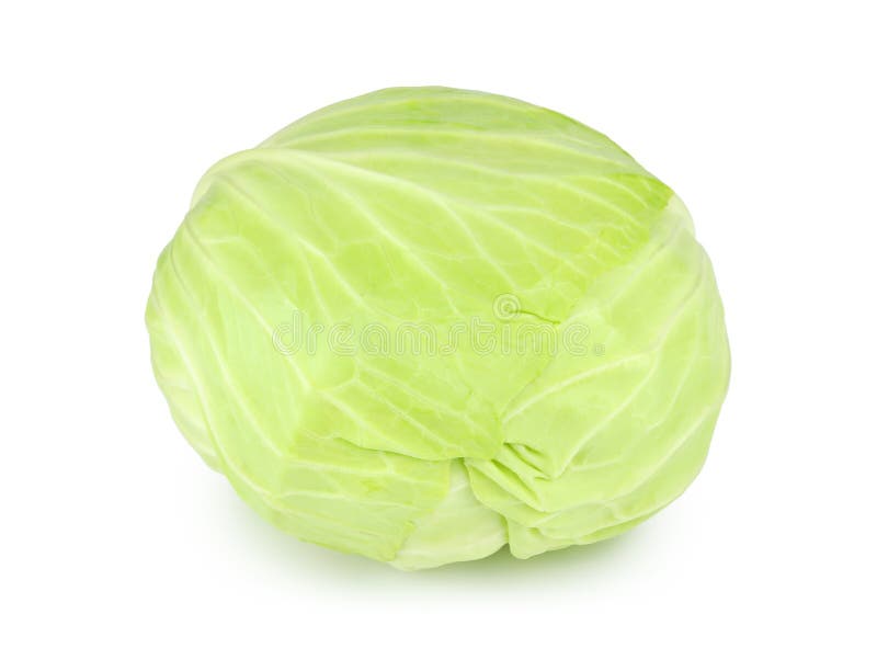 Round Cabbage Growing in the Garden Big Head Stock Image - Image of ...