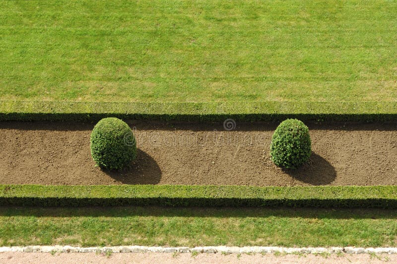 Green rows, park details stock image. Image of green - 20131387