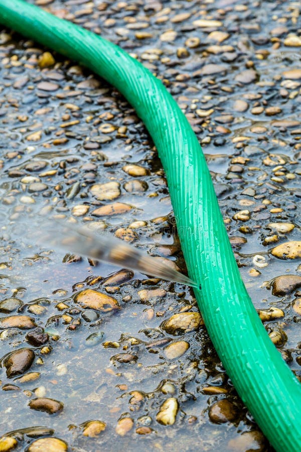 Green rubber tube stock photo. Image of gravels, gardening - 50389966