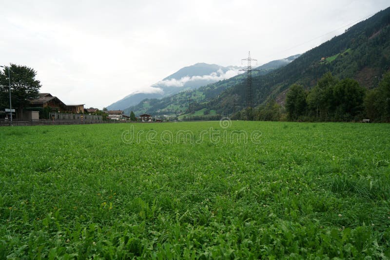Green Rural Area with Electric Tower and Mountains on the Background ...