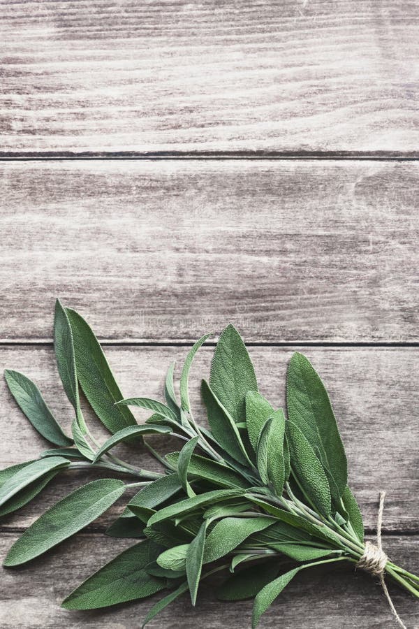 Green Sage Bunch on Wooden Table, Vertical Flatlay, Copy Space Stock ... Green Sage Bunch on Wooden Table, Vertical Flatlay, Copy Space Stock ...