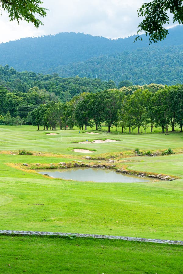 Green with Sand Bunkers on Golf Course Stock Photo - Image of field ...