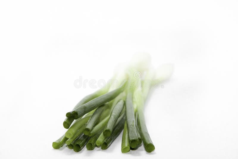 Green Scallion in Nature on a White Background Stock Image - Image of ...