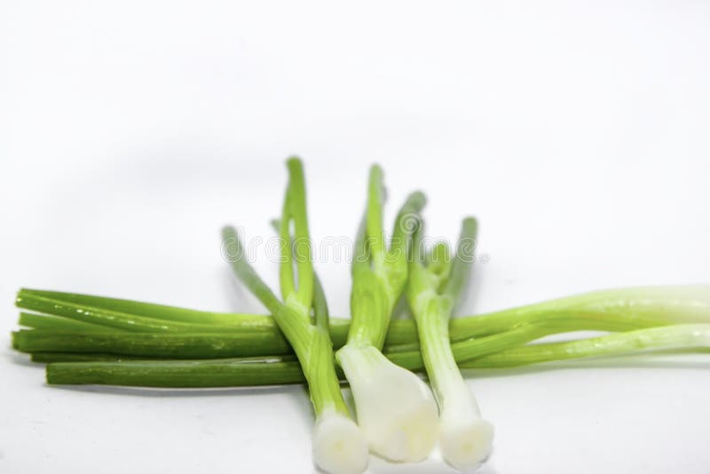 Green Scallion in Nature on a White Background Stock Image - Image of ...