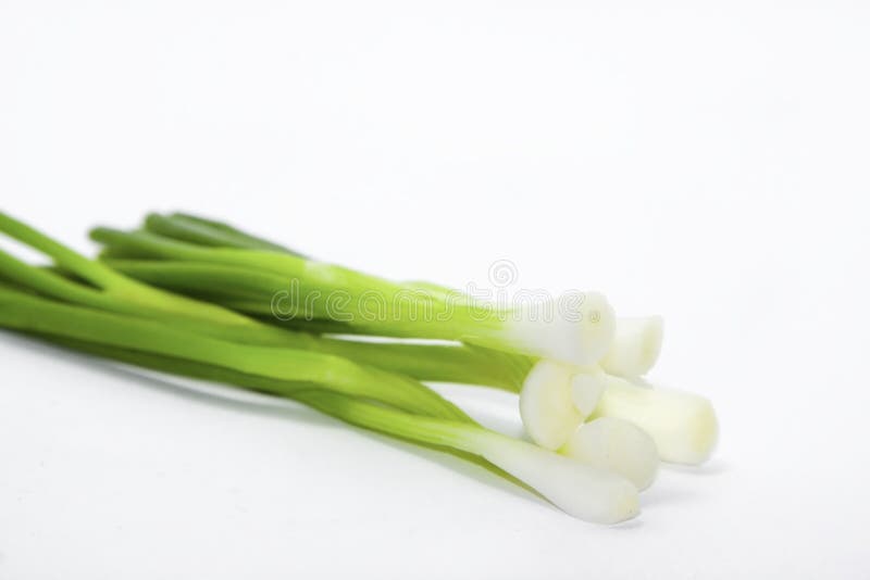 Green Scallion in Nature on a White Background Stock Photo - Image of ...