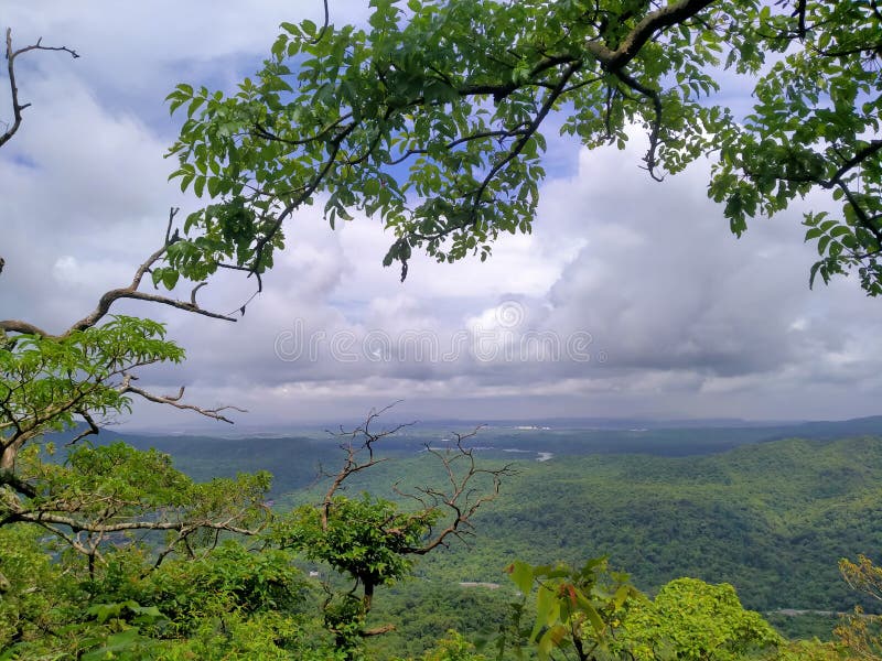 Green scapes in the wild stock image. Image of peaceful - 255101787